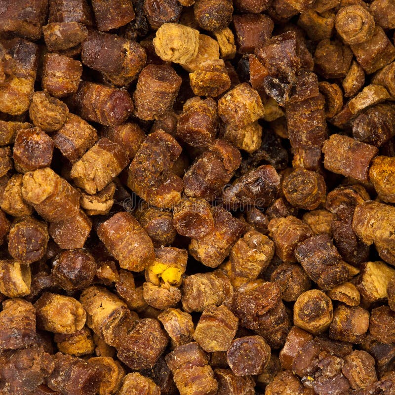 Bee bread stock photo. Image of garden, organic, brown - 27459856