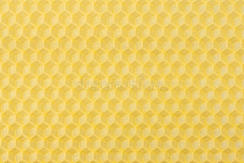 Bee cells for gold honey stock photo. Image of closeup - 252117398