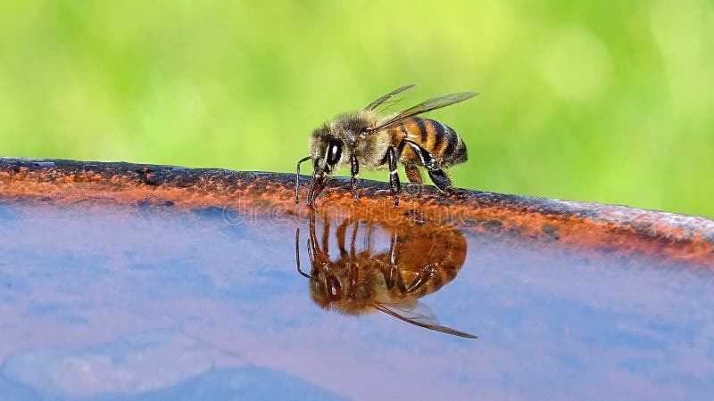 James Twedt (Jamesronaldart) - Photographer profile