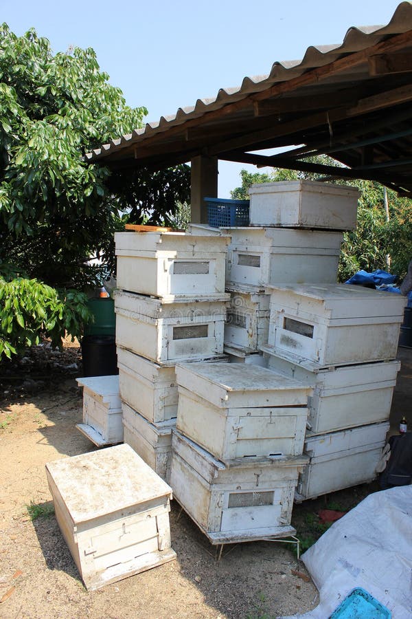 Bee farm stock image. Image of honey, healthy, apiculture - 31489981