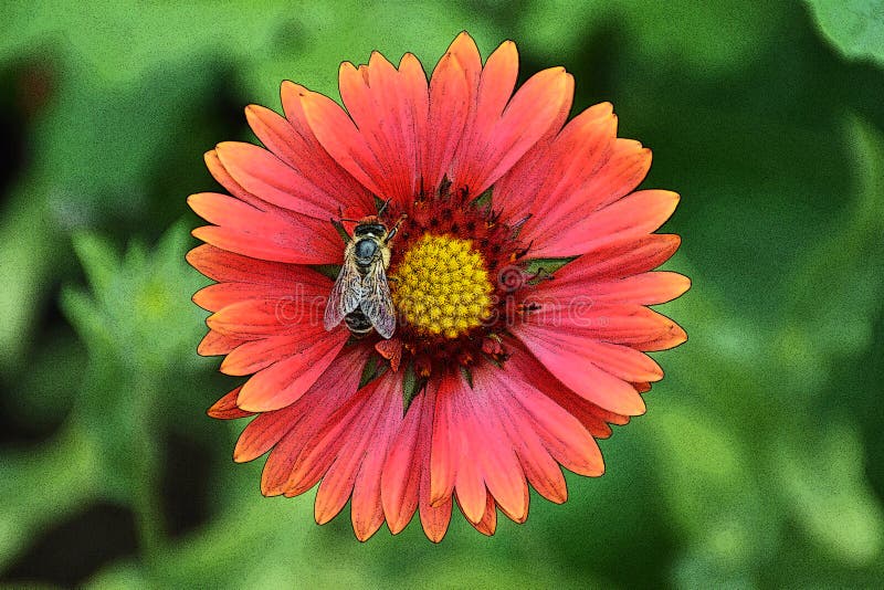 Pollination Concept Stock Illustrations – 1,198 Pollination Concept ...