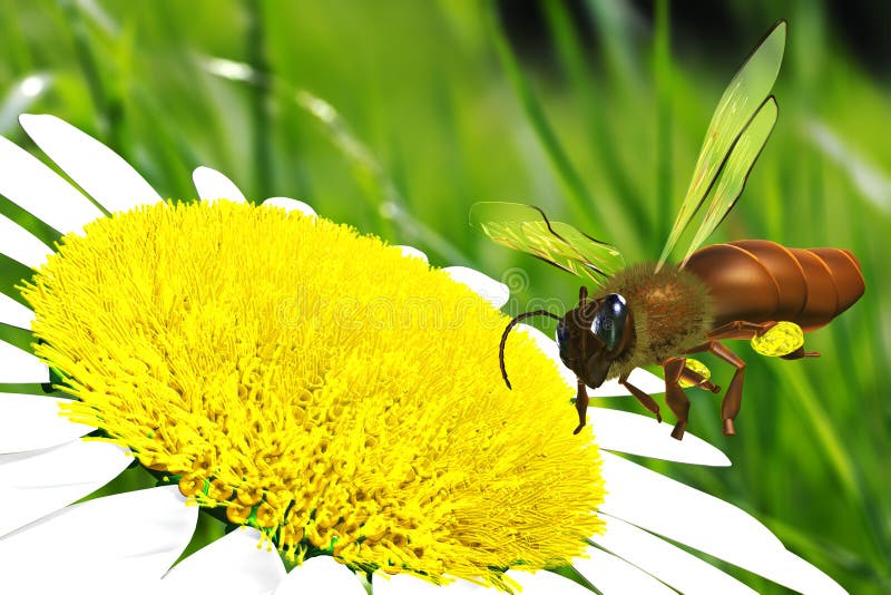 Bee Flying Over the Flower. Stock Illustration - Illustration of bees ...
