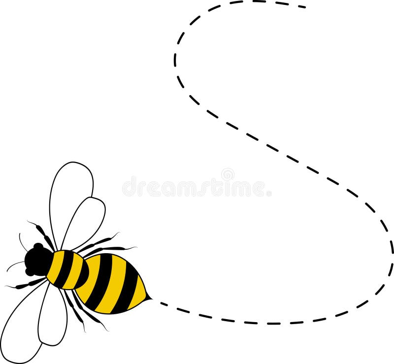 Bee Flying Path. a Bee Flying in a Dotted Line. the Flight Path of Bee ...