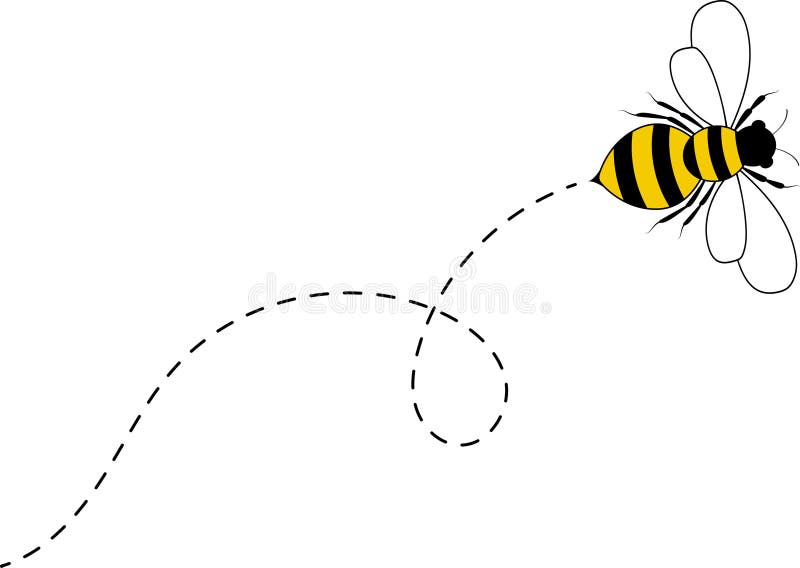 Bee Flying Path. a Bee Flying in a Dotted Line. the Flight Path of Bee ...