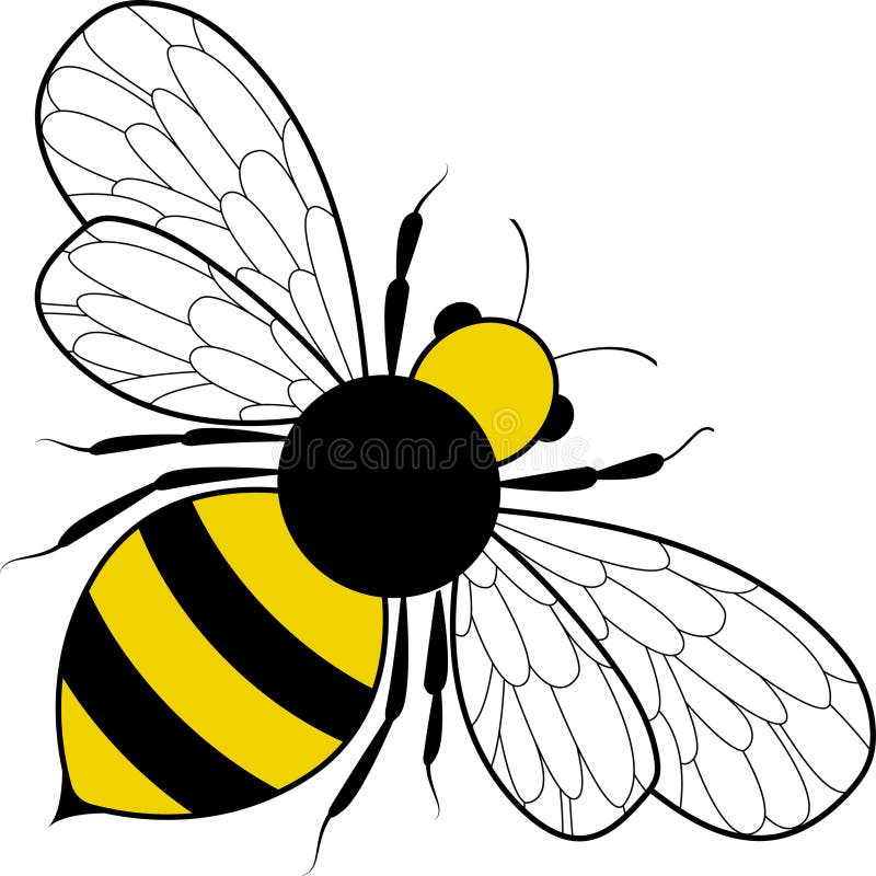 Bee Flying Path. a Bee Flying in a Dotted Line. the Flight Path of Bee ...