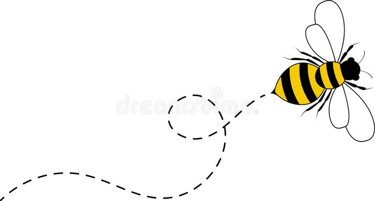 Bee Flying Path. a Bee Flying in a Dotted Line. the Flight Path of Bee ...