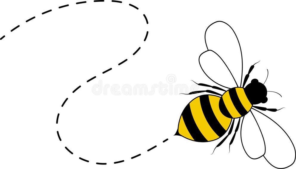 Bee Flying Path. a Bee Flying in a Dotted Line. the Flight Path of Bee ...