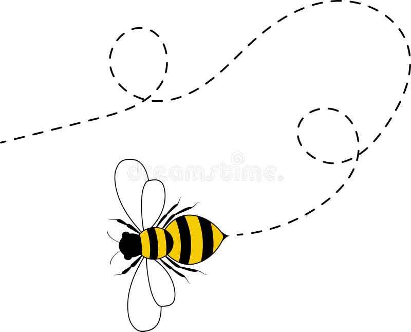 Bee Flying Path. a Bee Flying in a Dotted Line. the Flight Path of Bee ...