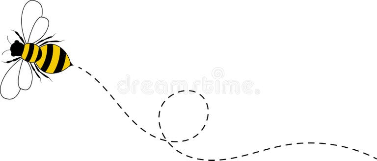 Bee Flying Path. a Bee Flying in a Dotted Line. the Flight Path of Bee ...