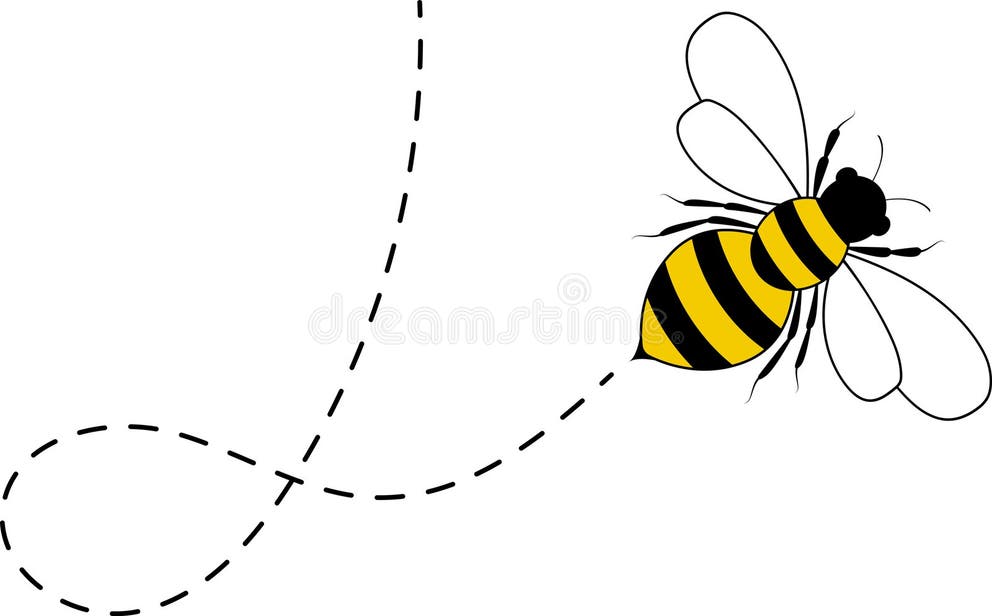 Bee Flying Path. a Bee Flying in a Dotted Line. the Flight Path of Bee ...
