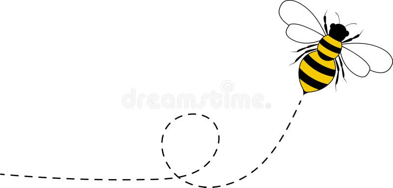 Bee Flying Path. a Bee Flying in a Dotted Line. the Flight Path of Bee ...