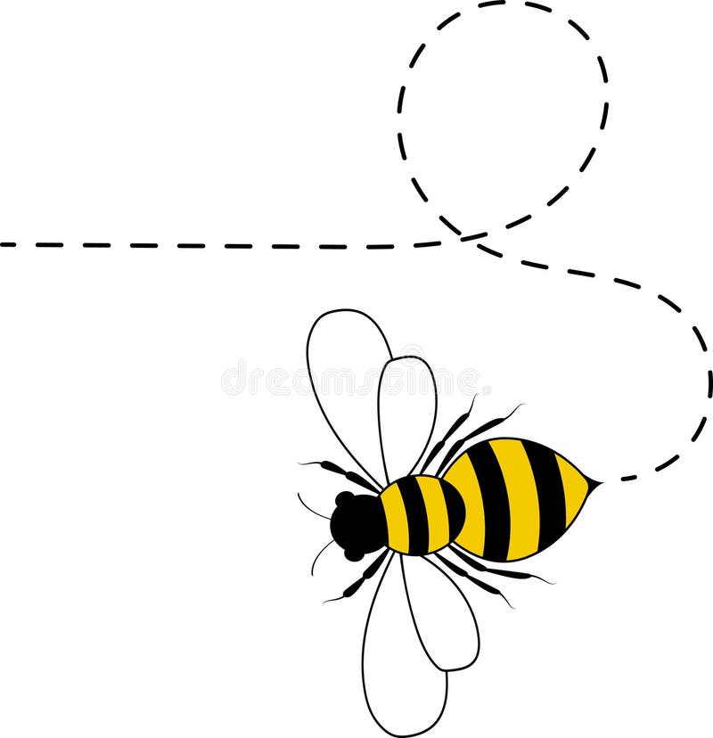 Bee Flying Path. a Bee Flying in a Dotted Line. the Flight Path of Bee ...