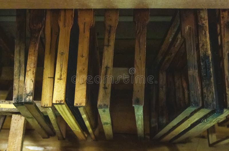 Bee Frames with Sealed Combs and Honey Hang in the Shed. Breeding Bees ...