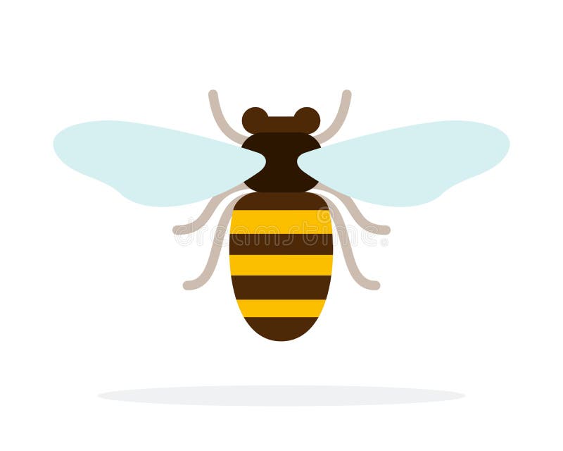 Bee Front View Flat Isolated Stock Vector - Illustration of isolated ...