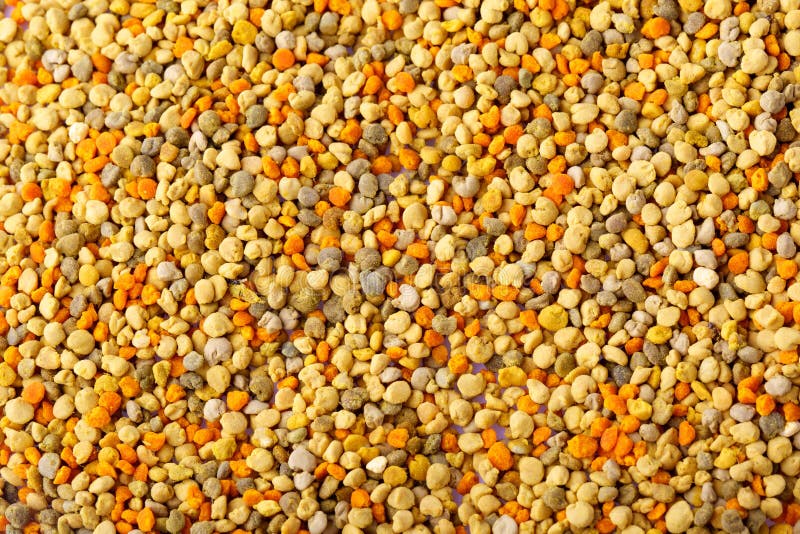 Bee Gathered Pollen Granules Stock Image - Image of gathered, spring ...