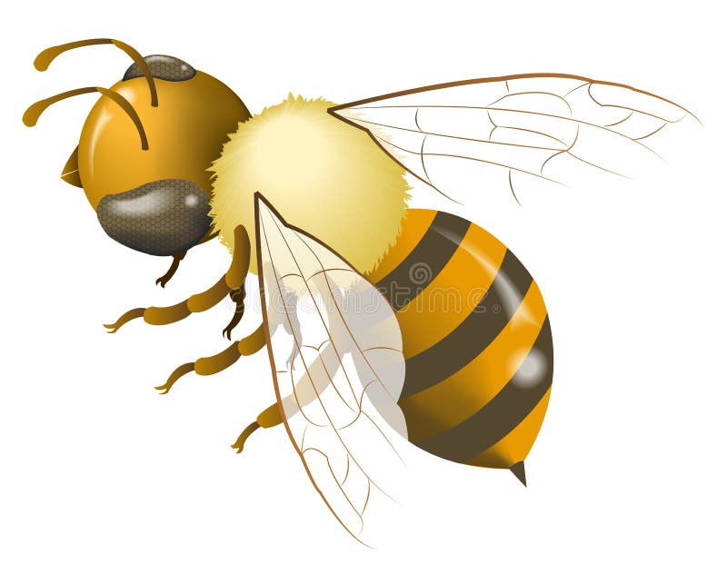 Bee Gradient Stock Illustrations – 2,456 Bee Gradient Stock ...