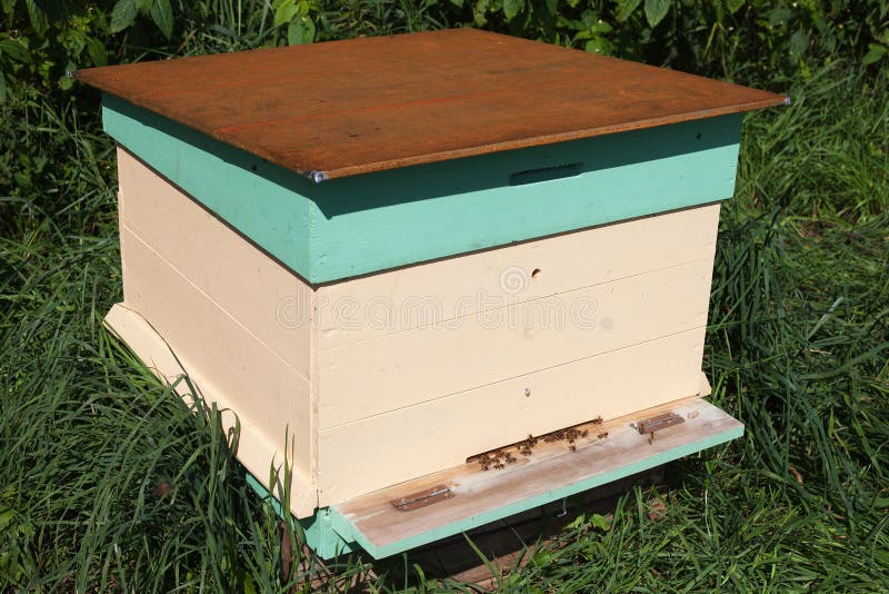 Bee hive. stock image. Image of wildlife, beekeeping - 26166269