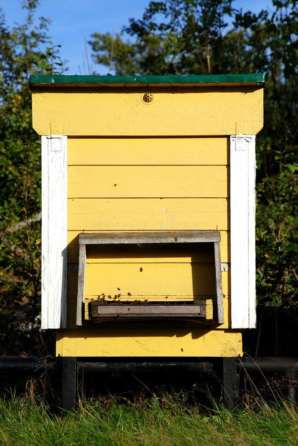 Bee Hive stock image. Image of beekeeping, insect, beehive - 3224935
