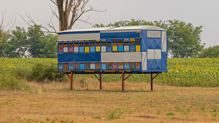 Bee Hive Trailer stock photo. Image of beehive, colony - 254855974