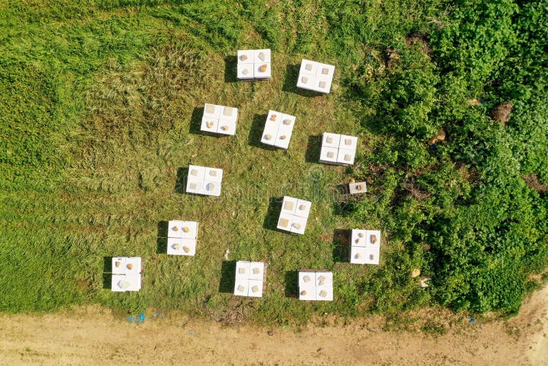 Bee Hive Boxes in a Green Field. Stock Image - Image of blue, hive ...