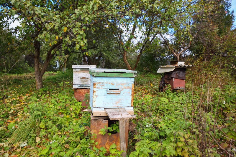 Bee hive in garden stock photo. Image of nature, beekeeping - 36636826