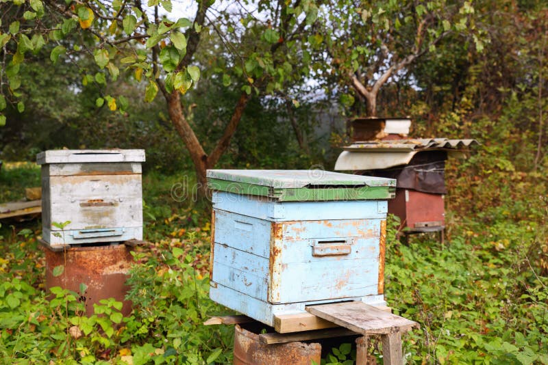Bee hive in garden stock photo. Image of nature, beekeeping - 36636826