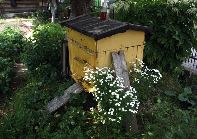 Bee hive in garden. stock photo. Image of insect, medicine - 61083226