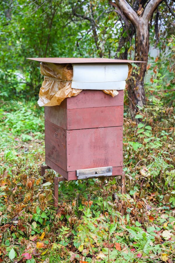 Bee hive in garden stock photo. Image of nature, beekeeping - 36636826