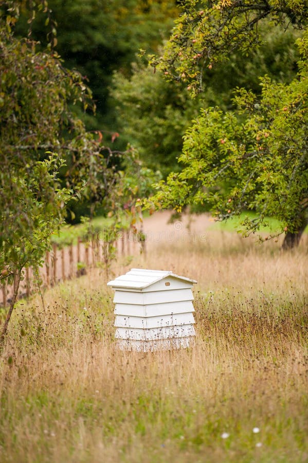 Bee hive in garden stock photo. Image of nature, beekeeping - 36636826