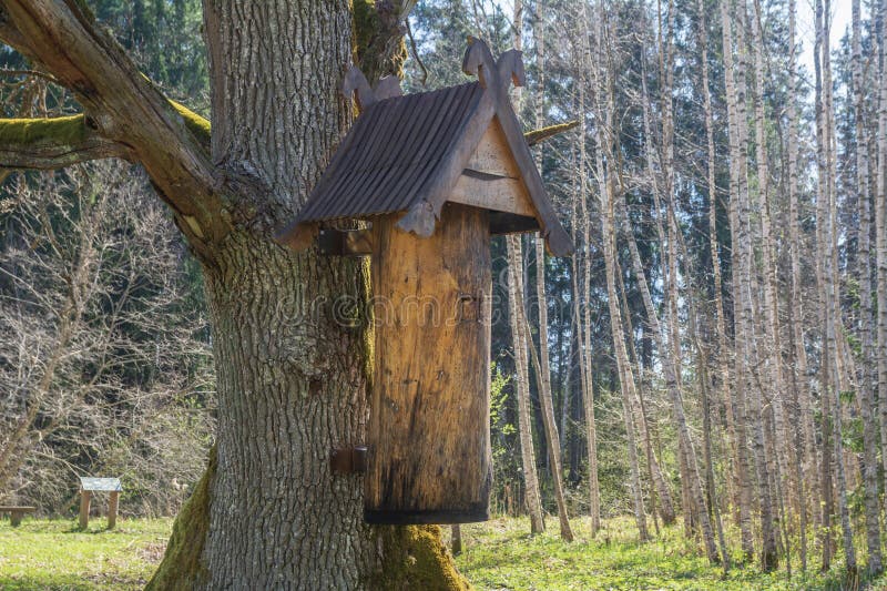 1,540 Pictures Bee Tree Trunk Stock Photos - Free & Royalty-Free Stock ...