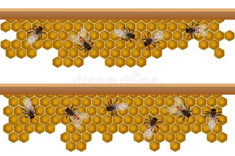 Bee Hive Border Stock Illustrations – 503 Bee Hive Border Stock ...