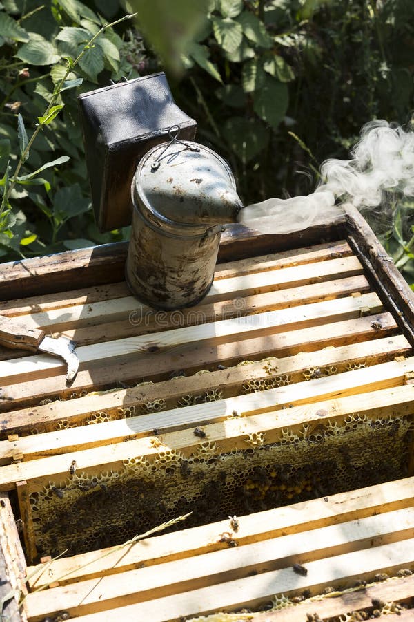 The Bee Hive is Shot Close-up in the Summer Stock Image - Image of ...