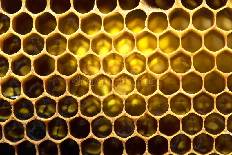 Bees hive for background. stock photo. Image of objects - 118225252