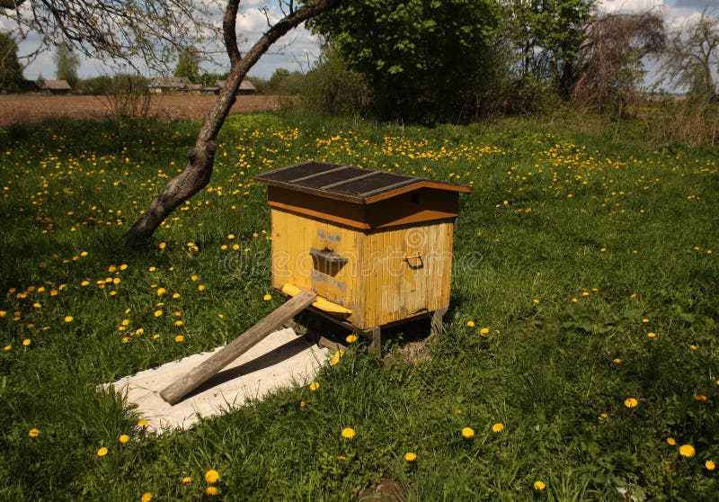 Bee hive in spring. stock photo. Image of farming, entrance - 58842270