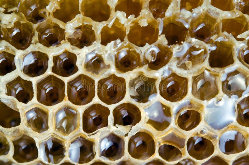 Bee Hive Texture with Honey Filled Stock Photo - Image of farm ...