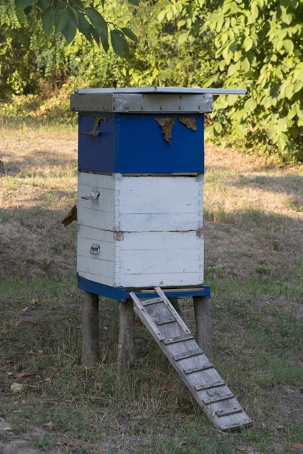 Bee hive stock image. Image of green, hive, honeycomb - 99574933