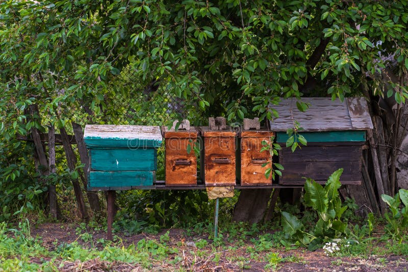 Bee Hives. Background with Selective Focus and Copy Space Stock Image ...