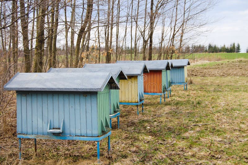 Bee Hives - Poland stock photo. Image of nature, honey - 90007506