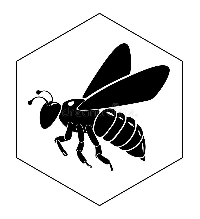 Bee on honey cell stock vector. Illustration of honey - 57354609