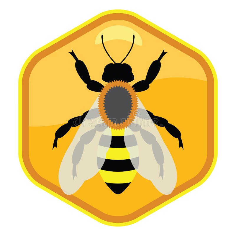 Bee on honeycell, vector stock vector. Illustration of cell - 74928453