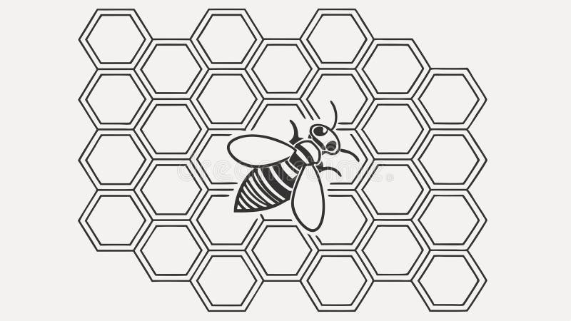 Bee and Honeycomb Pattern, Nature and Geometry Graphic, Vector Design ...