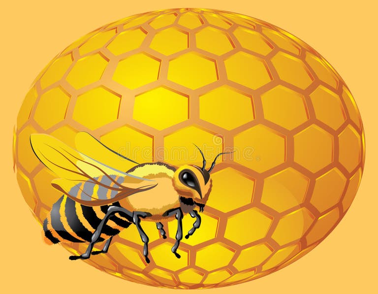 Healthy Sphere Stock Illustrations – 16,297 Healthy Sphere Stock ...