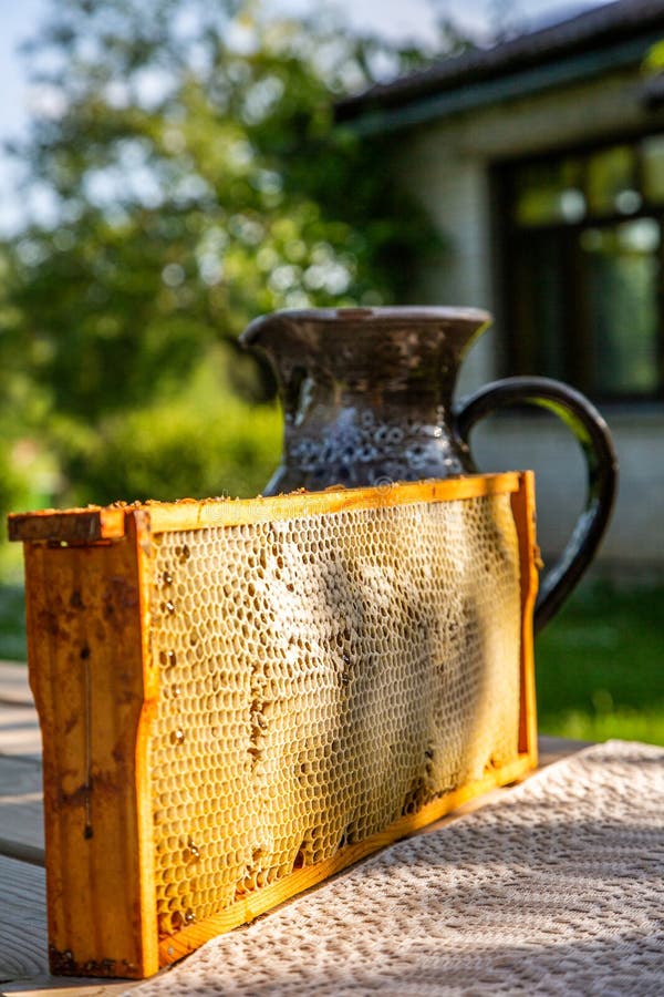 Bee Honeycomb Wooden Frame Full of Honey Stock Photo - Image of dark ...