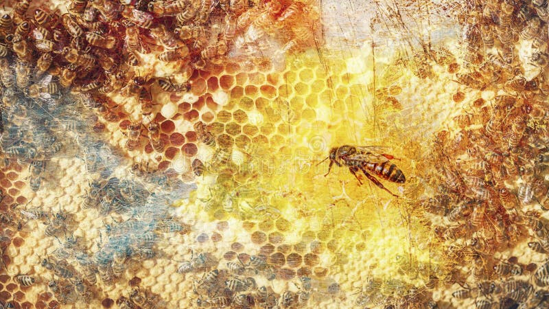 Bee Honeycombs with Honey and Bees. Apiculture. Loop Animation. Stock ...