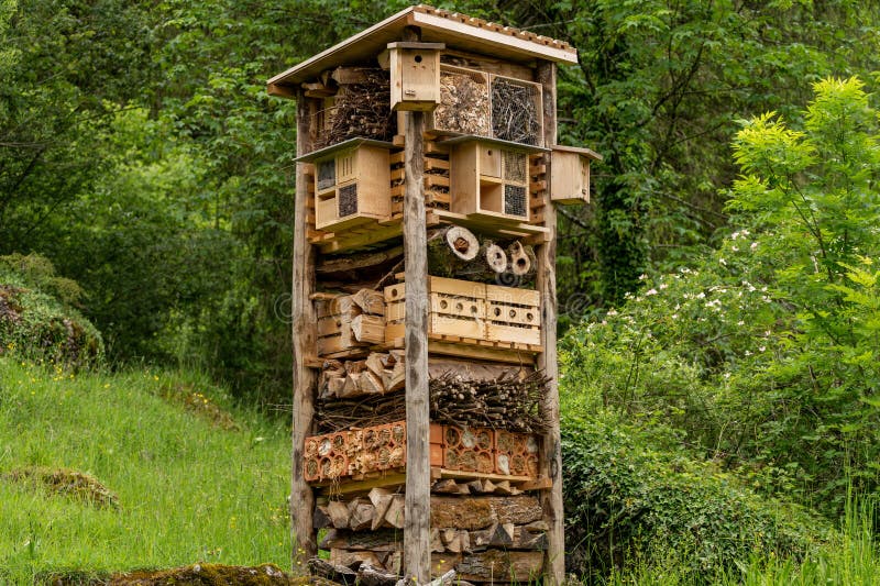 Different Tzpes Stock Photos - Free & Royalty-Free Stock Photos from ...