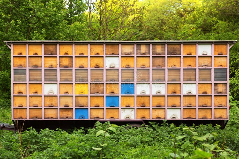 Bee house. stock image. Image of green, nature, color - 96450889