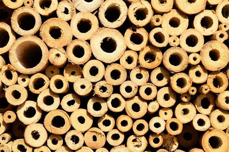 Bee House or Insect House Made from Bamboo Stock Photo - Image of ...