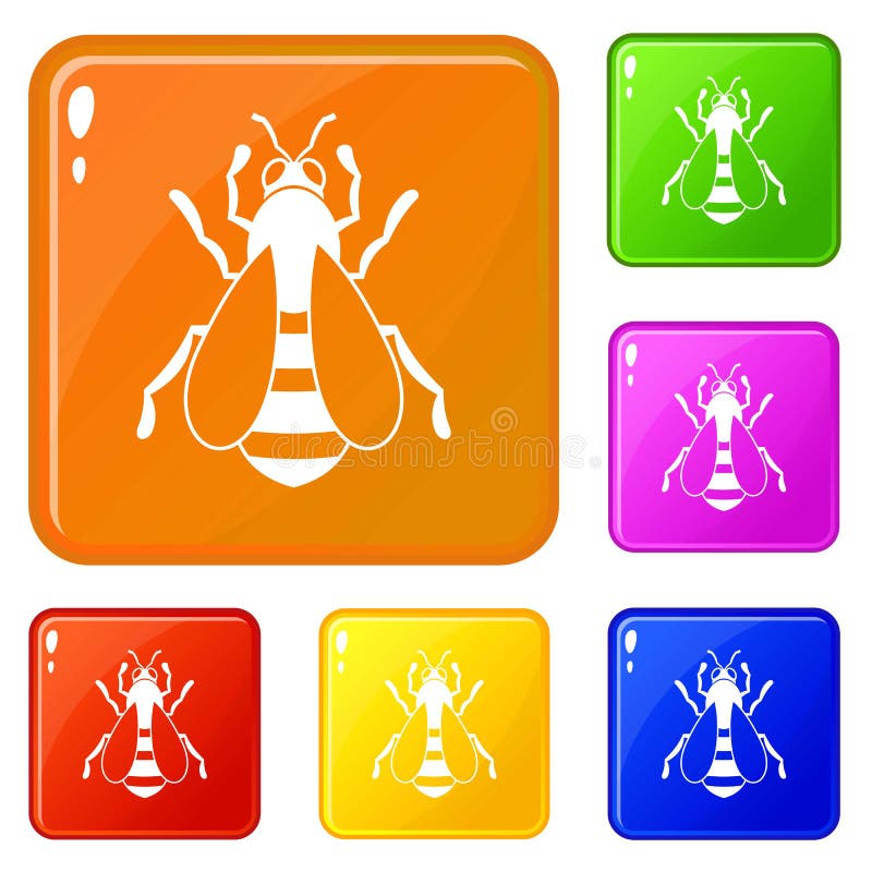 Bee icons set vector color stock vector. Illustration of sign - 149570278