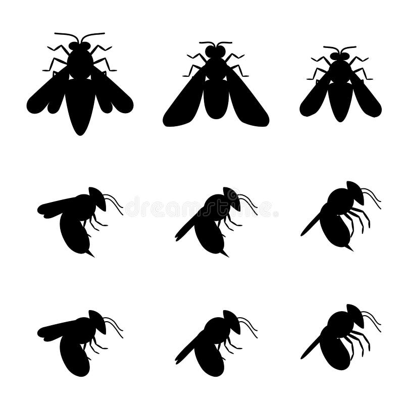 Bee Side View Stock Illustrations – 492 Bee Side View Stock ...