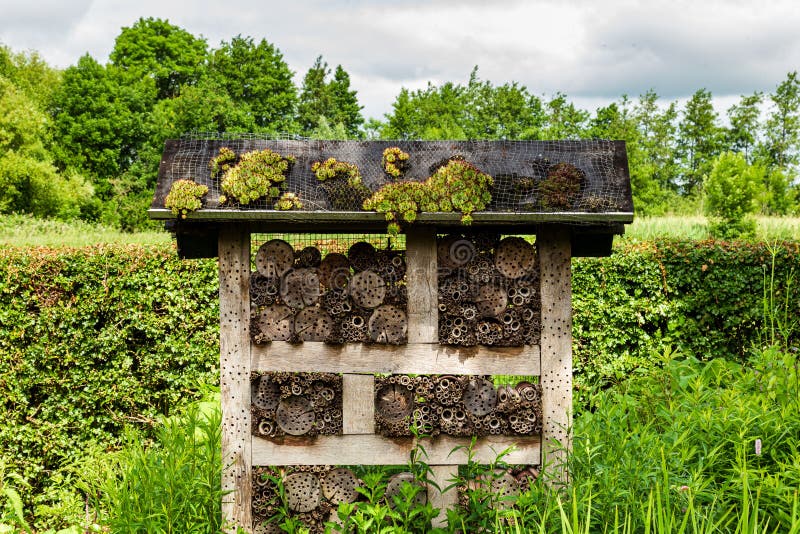 Bee or Insect Hotel in Garden Stock Photo - Image of insects ...